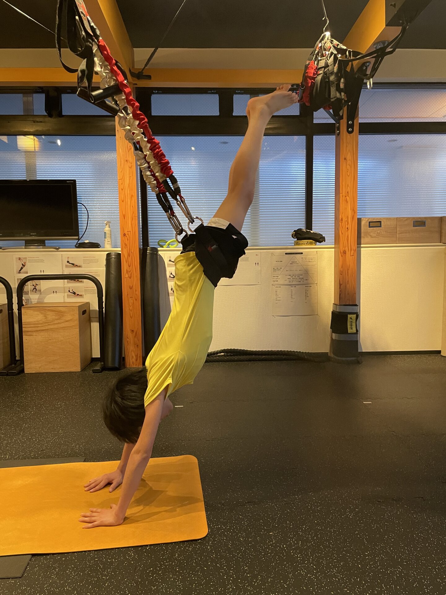 もう5月なんですね！ – brace studio