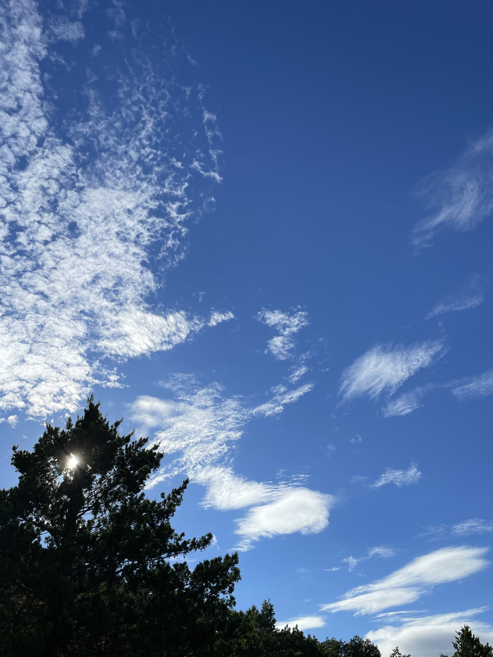 8/20 ZUMBA(ズンバ)無料体験 – brace studio