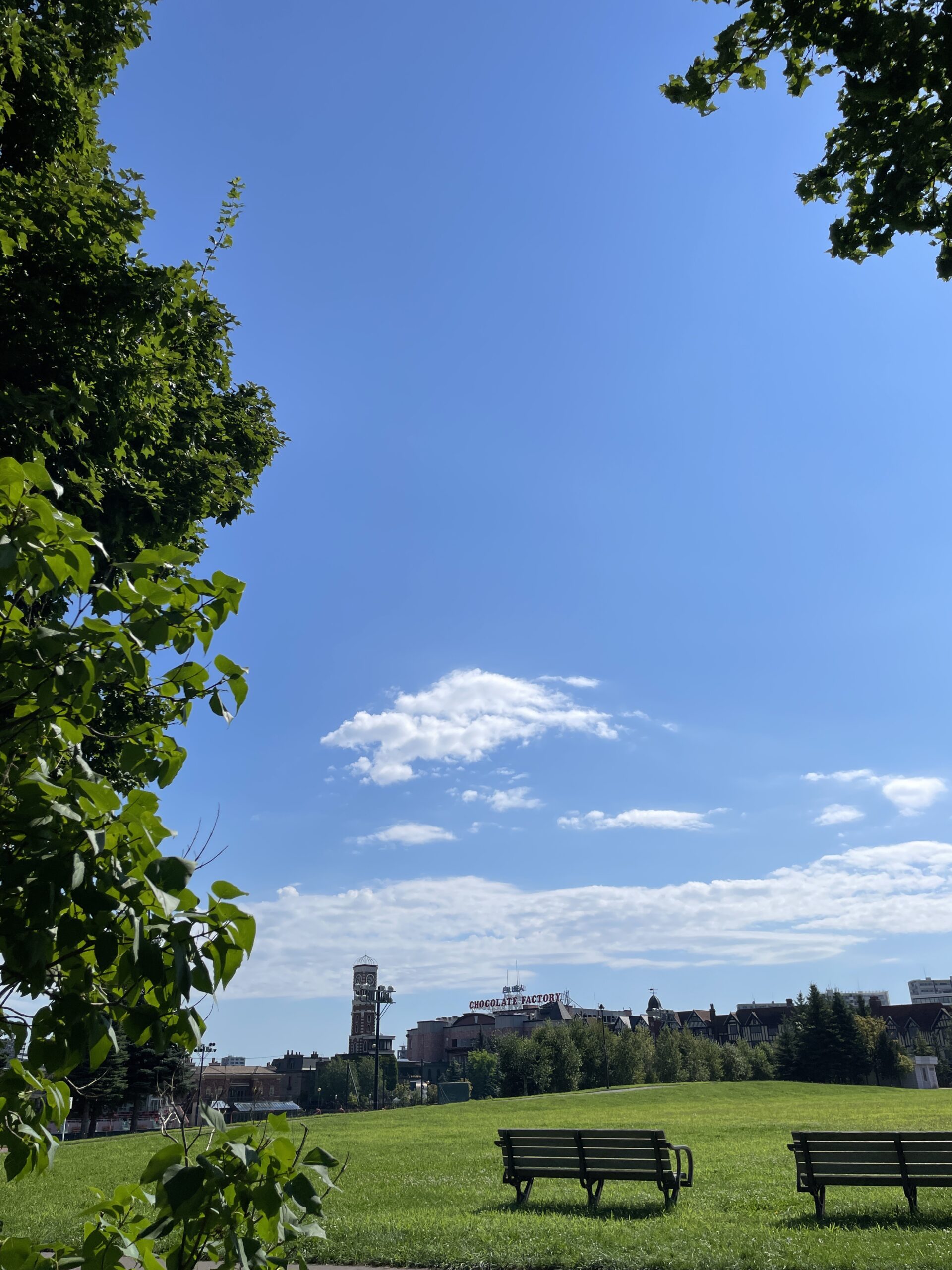 もうすぐ9月です。 – brace studio