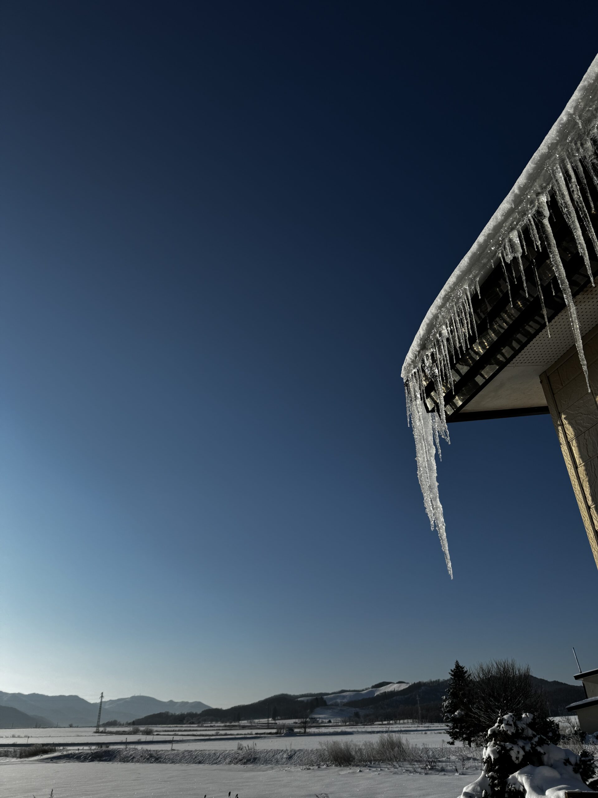 感謝 – brace studio