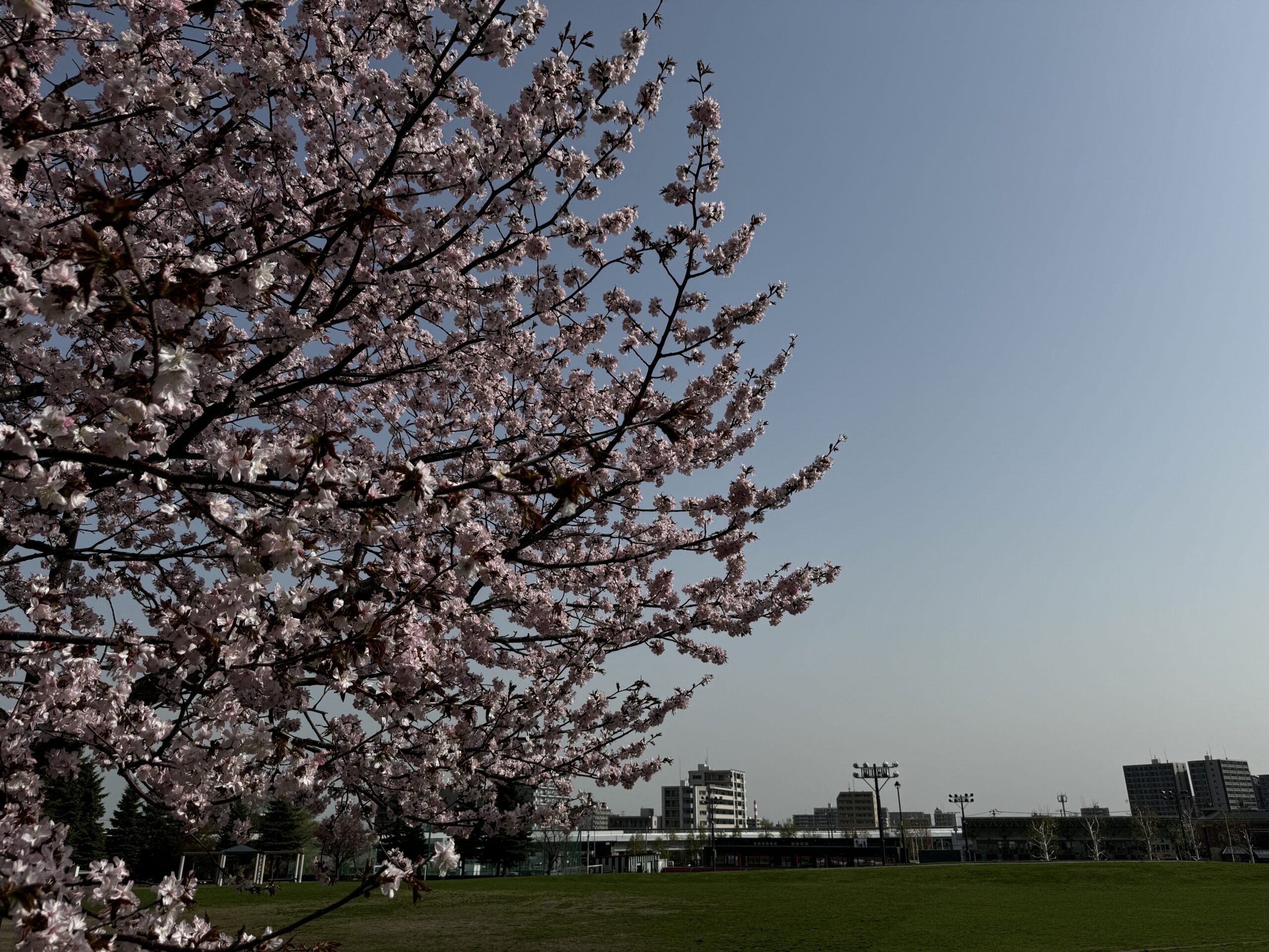 骨格の重力に対しての操作性 – brace studio