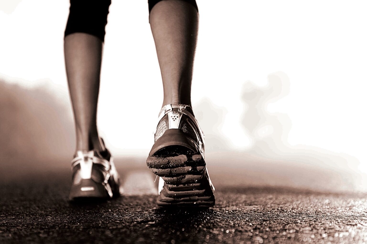 Training & Price – brace studio